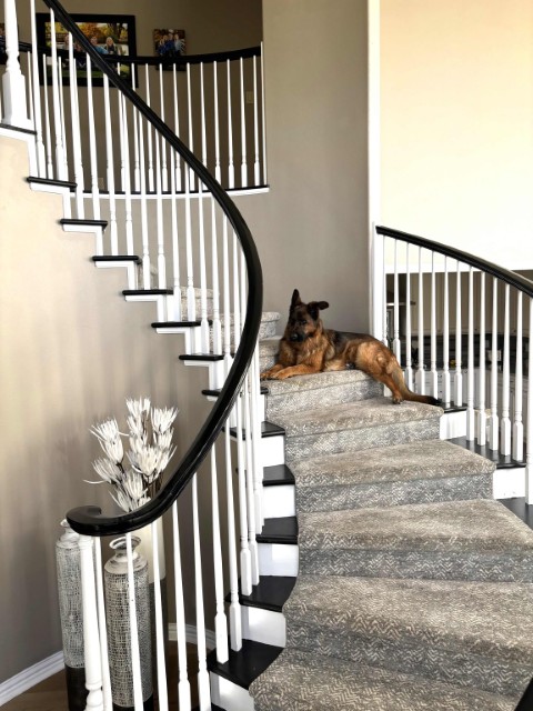 Our Services - Coventry Carpets and Flooring